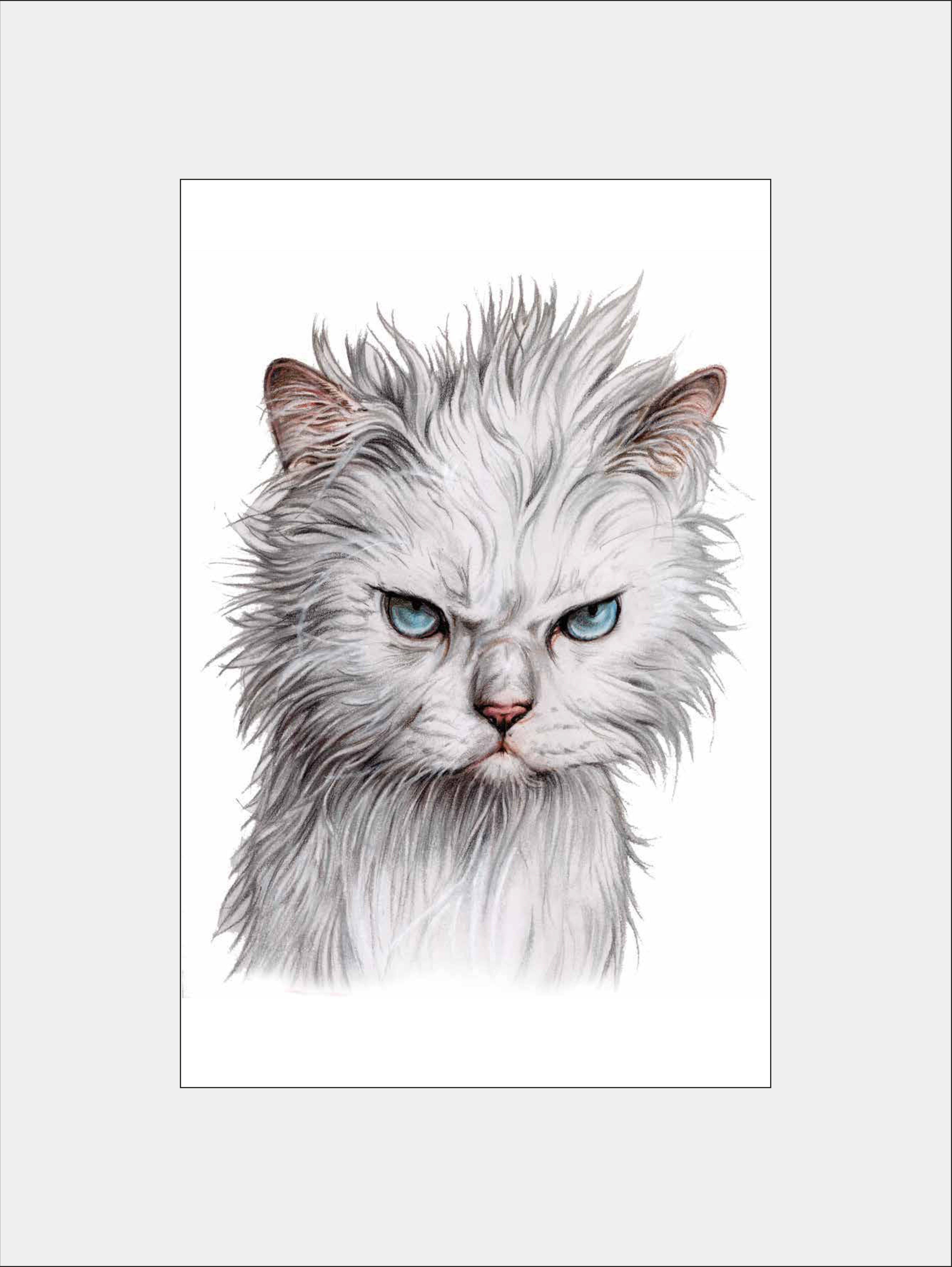 Reproductie "Boze Kat". – ANPR-wholesale